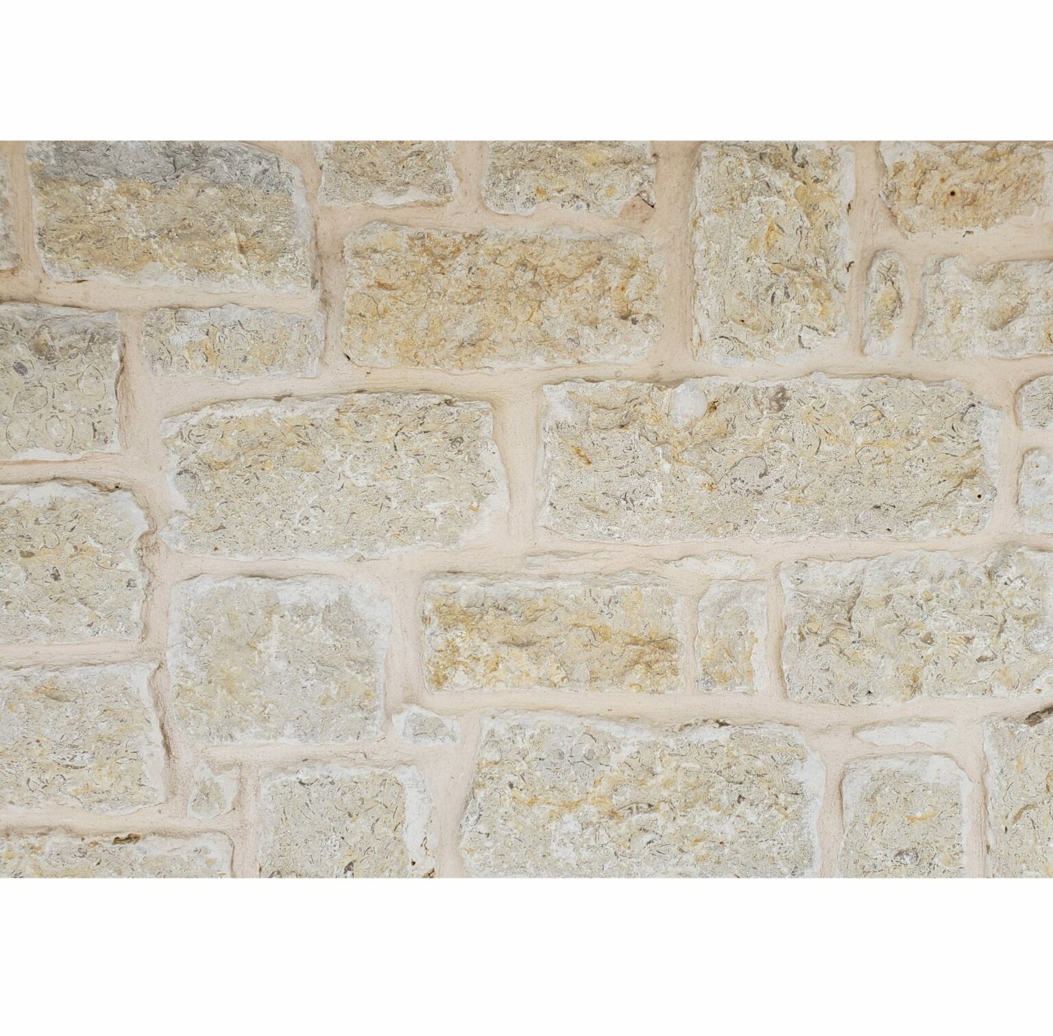 Fossil Limestone - Metro Brick & Stone Co