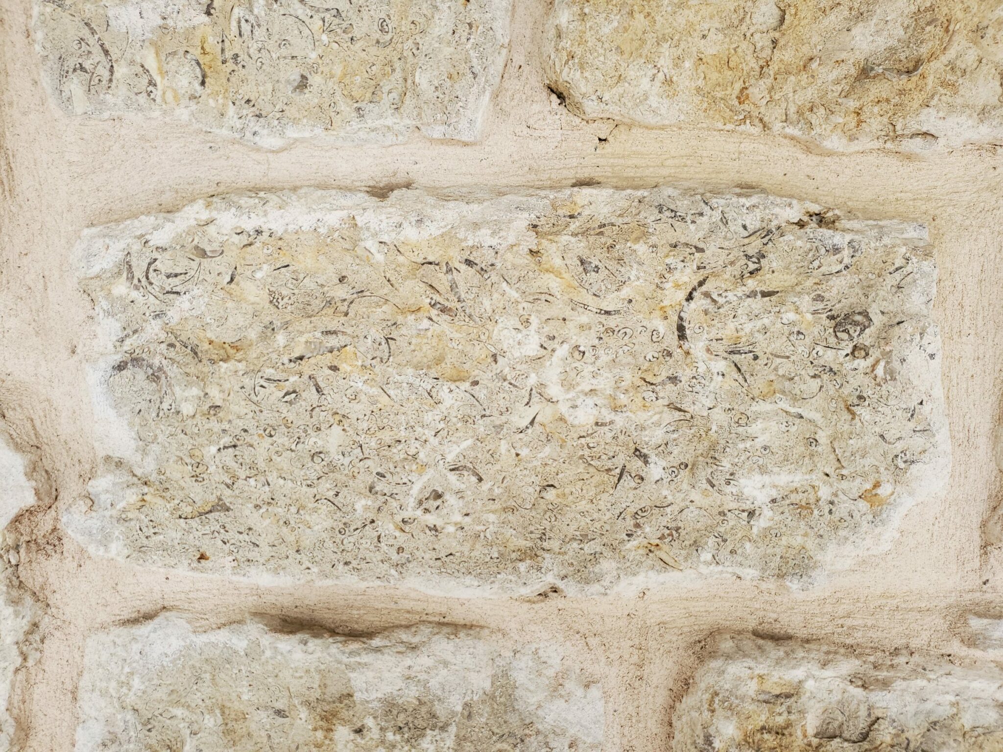 Granbury Fossil Chopped Limestone - Metro Brick & Stone Co